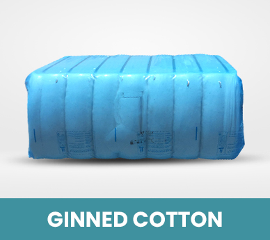 PET Strap Manufacturer & Supplier in UAE